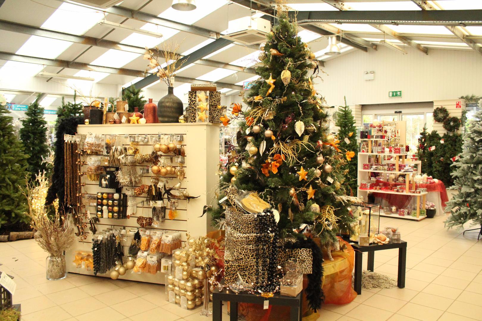 Christmas at Ardcarne Garden Centre – Boyle Today | Your News, Your ...