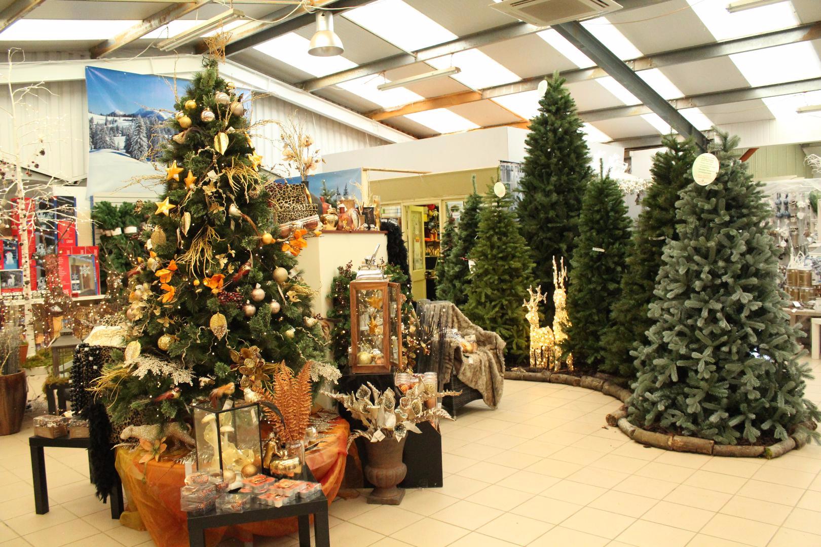 Christmas at Ardcarne Garden Centre – Boyle Today | Your News, Your ...